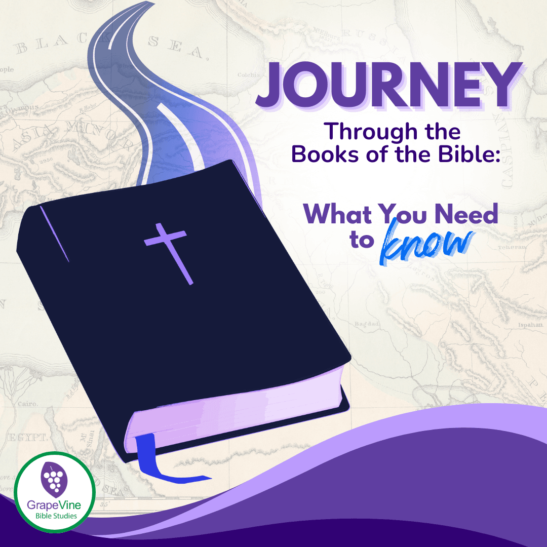 Journey through the Books of the Bible: What You Need to Know ...