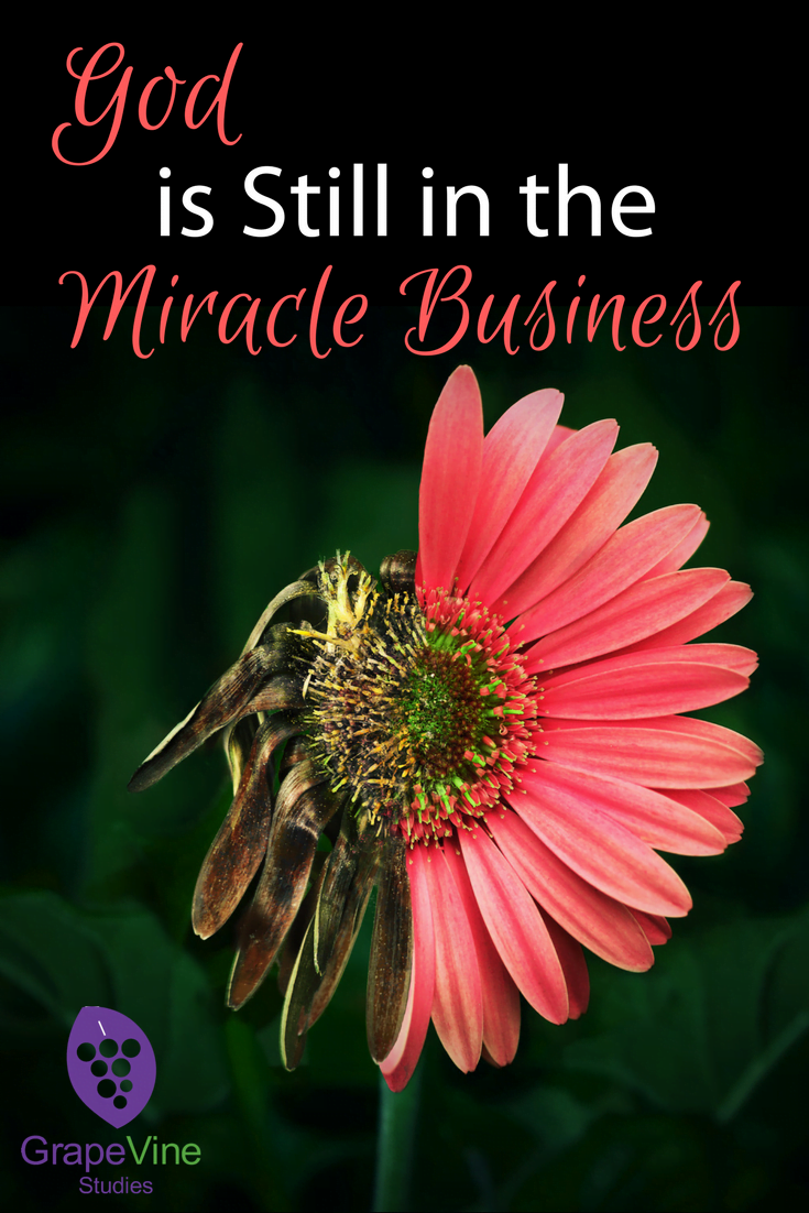 God is Still in the Miracle Business – Grapevine Studies