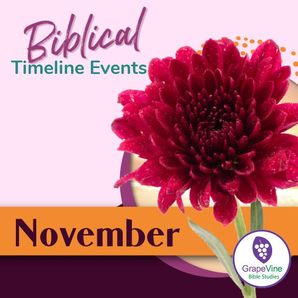 Bible Timeline Events in November – Grapevine Studies