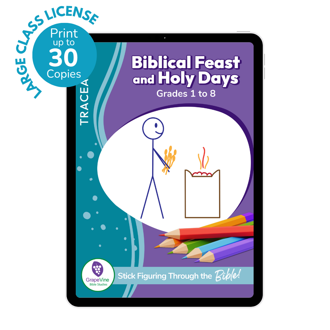 Biblical Feasts & Holy Days Trace Student eBook - Large Class ...